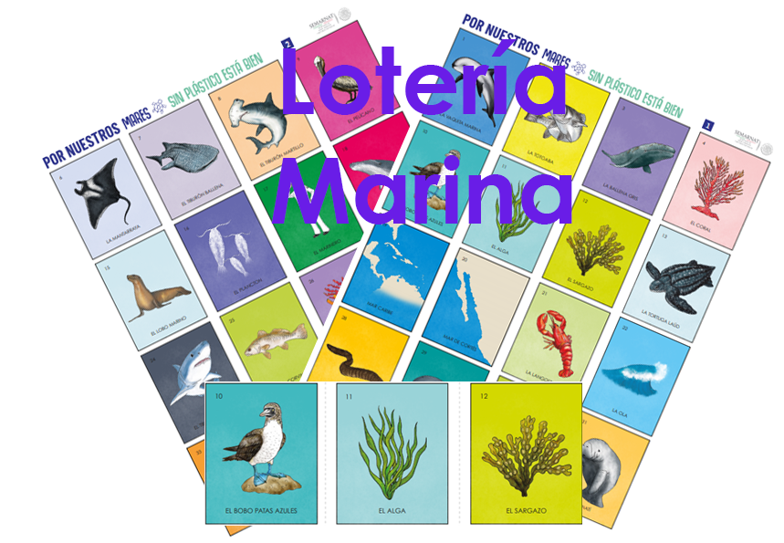 Lotería Marina | Diario Educación