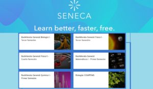 Seneca learning ejercicios interactivos secundaria y bachillerato ...