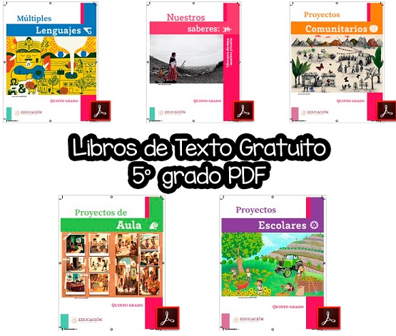 Libros de texto 5° grado 2024-2025 | Diario Educación